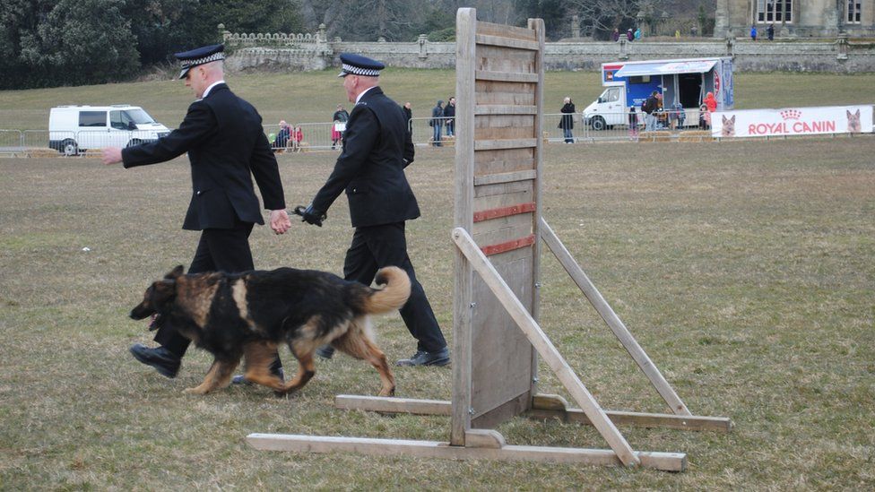 In Pictures: National police dog trials - BBC News