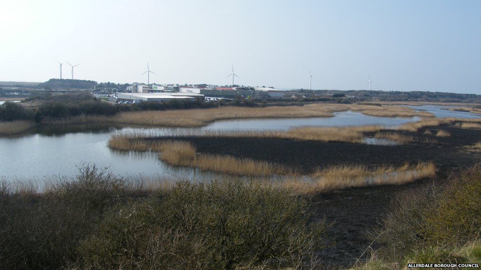 Siddick Ponds Nature Reserve fire in pictures - BBC News