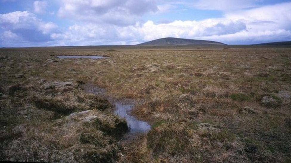 Caithness and Sutherland peat bog restoration plan wins £4m - BBC News