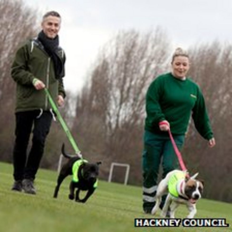 Traffic light leads for Hackney's stray dogs - BBC News