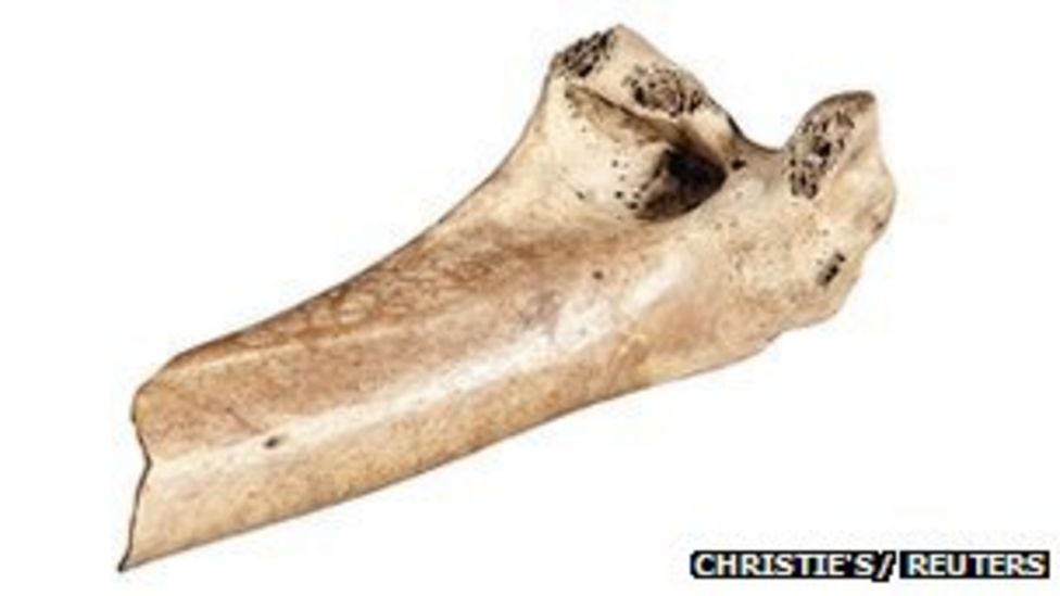 How are humans going to become extinct? - BBC News