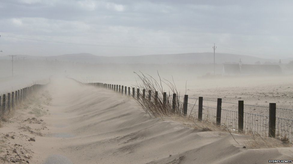 Your Week in Pictures - BBC News