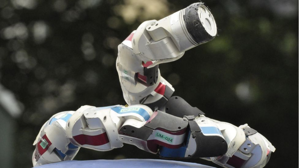 Robot snake learns secrets of sidewinders - BBC News