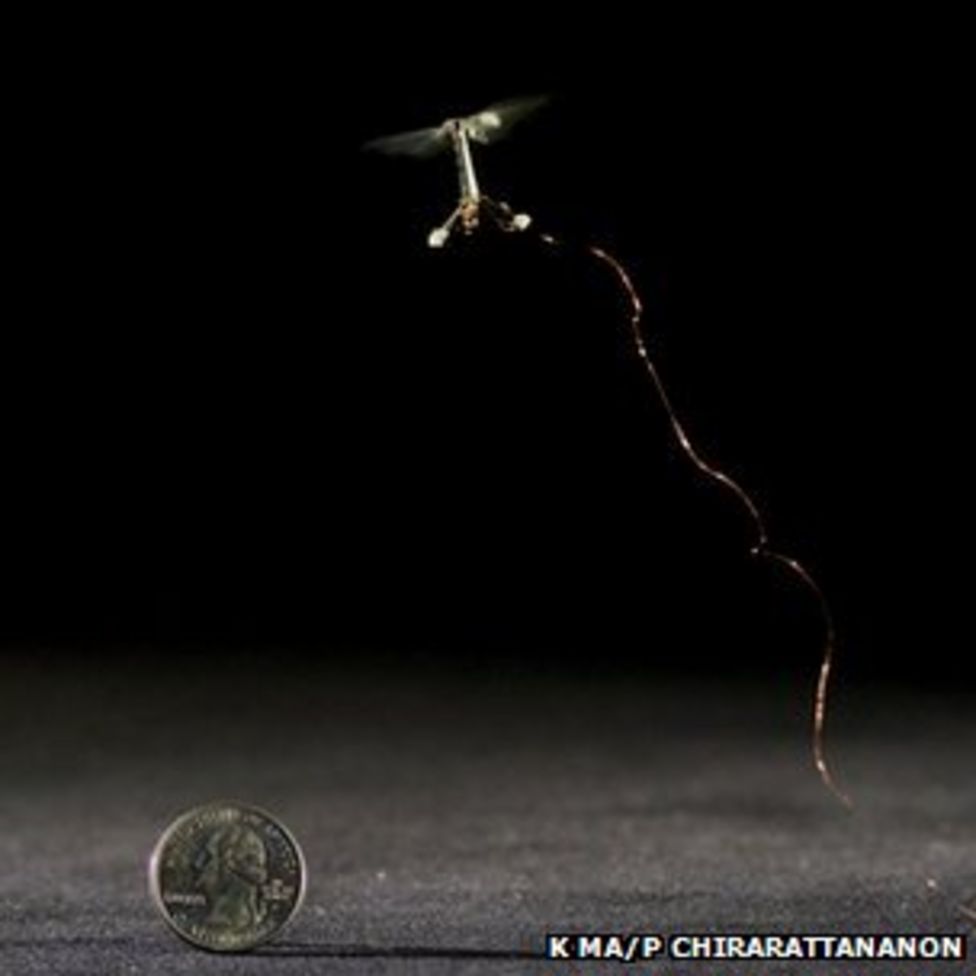 Robotic insect: World's smallest flying robot takes off - BBC News