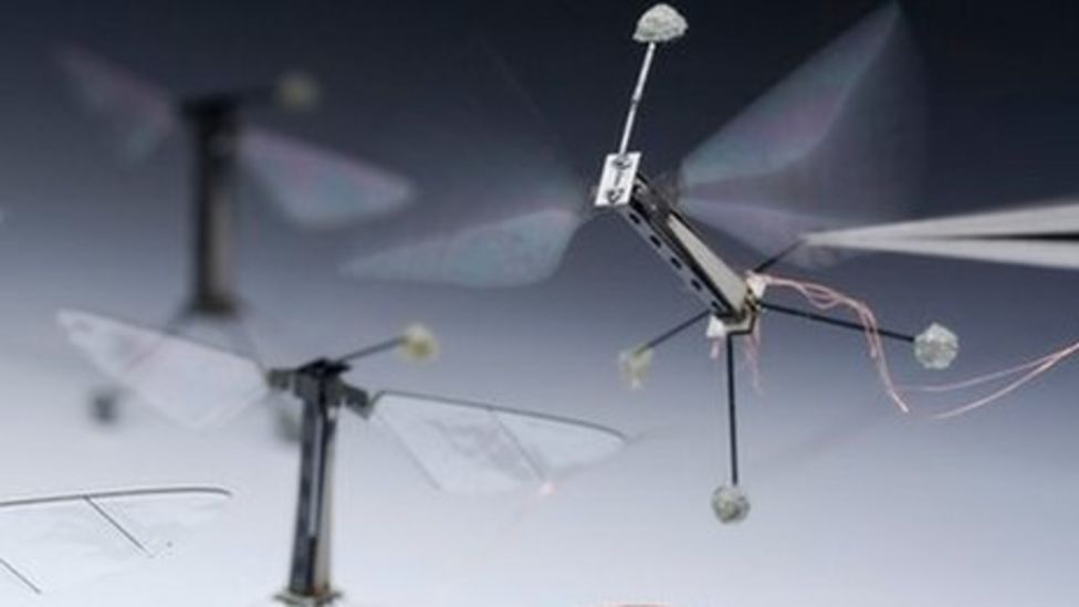 Flying robots: Nature inspires next generation design - BBC News