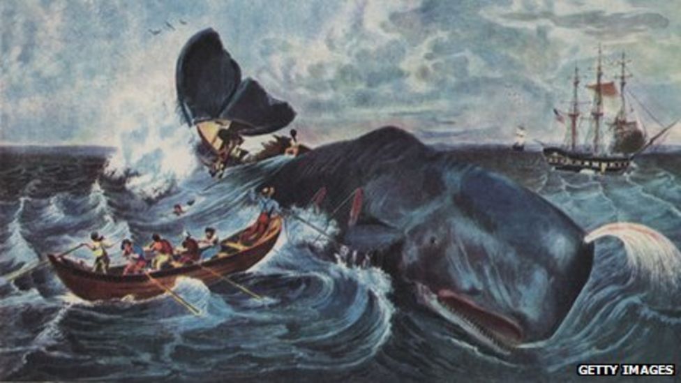 Moby Dick on the Mersey: The history of whaling in Liverpool - BBC News