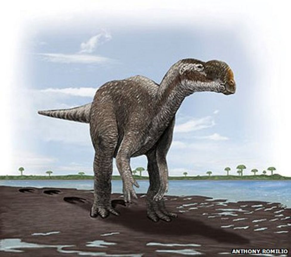 The great dinosaur stampede that never was? - BBC News