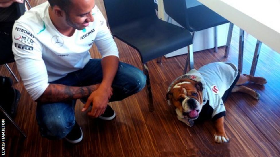 Lewis Hamilton column: Training, his pet dog & car upgrades - BBC Sport