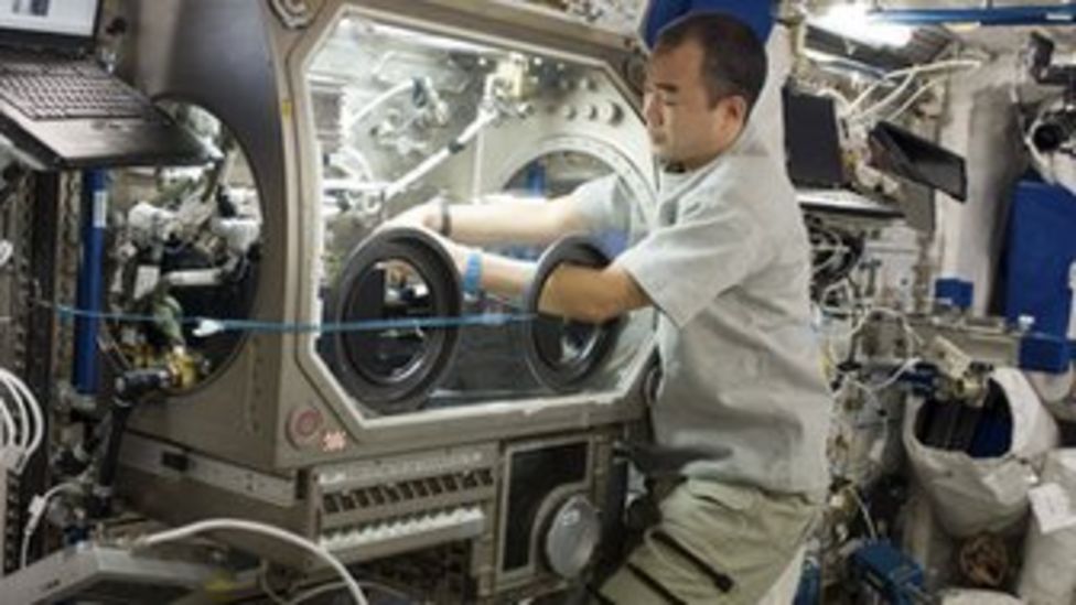 Chris Hadfield says Nasa's job is not to 'titillate' - BBC News