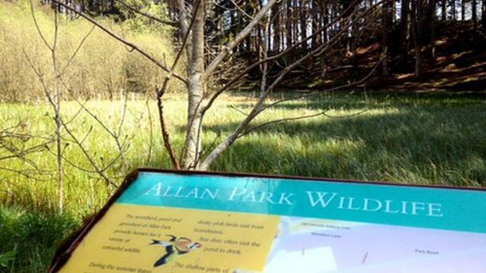 Campaign to help improve Aberdeen's Allan Park launched - BBC News