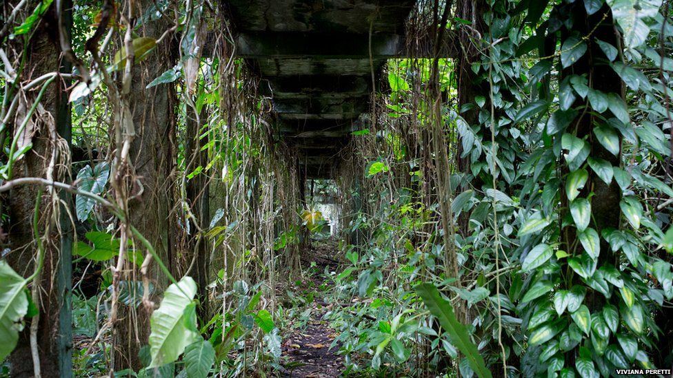 In pictures: Colombian prison island - BBC News