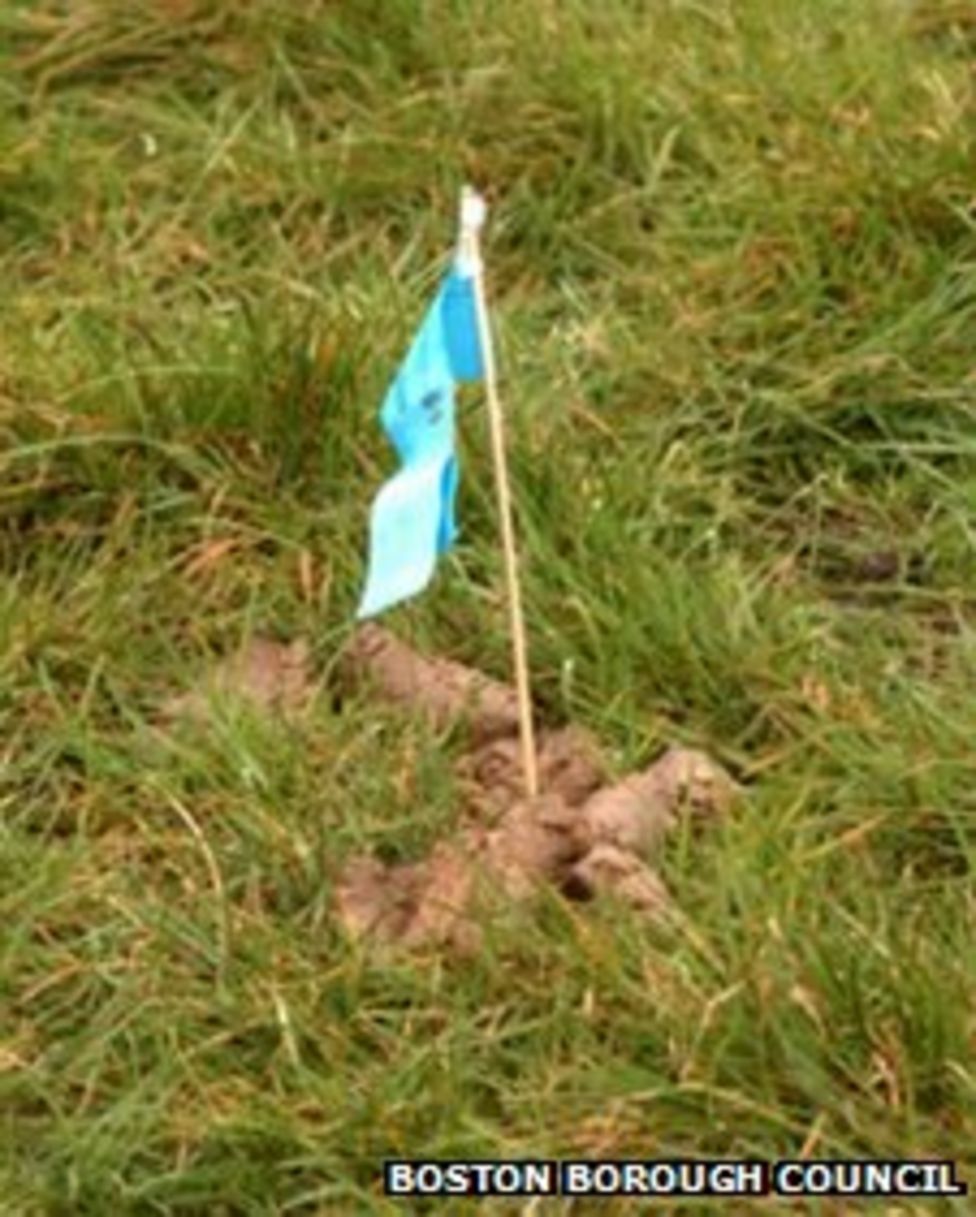 Boston Council 'flags up' dog dirt to shame pet owners - BBC News