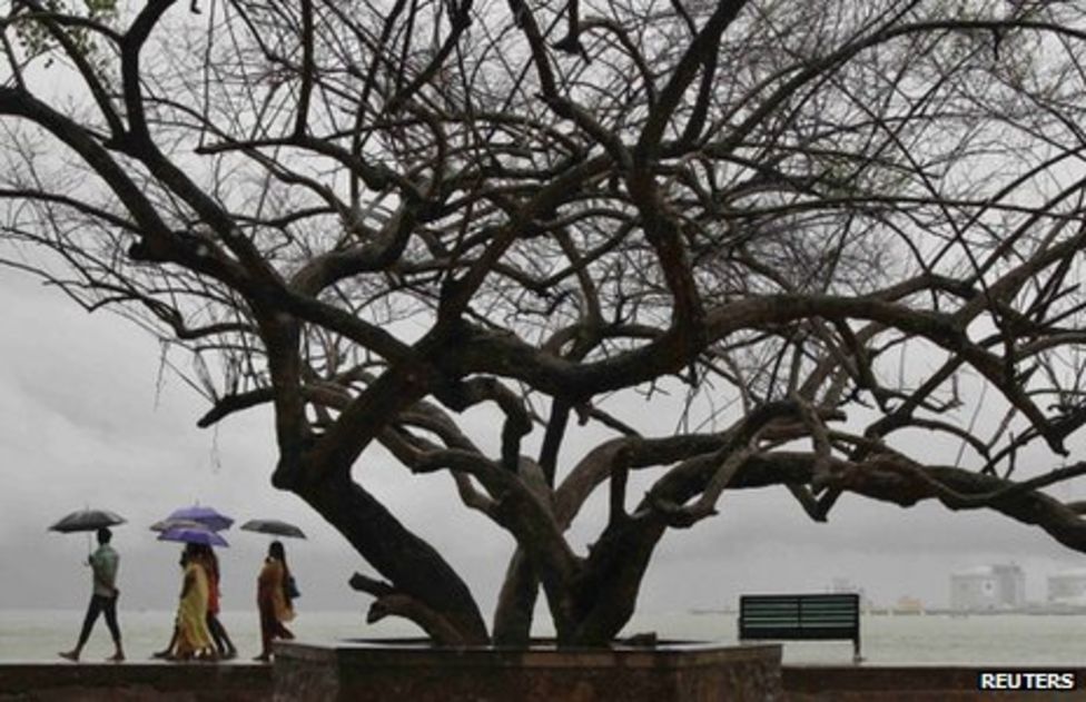 Why is India obsessed with monsoon rains? - BBC News