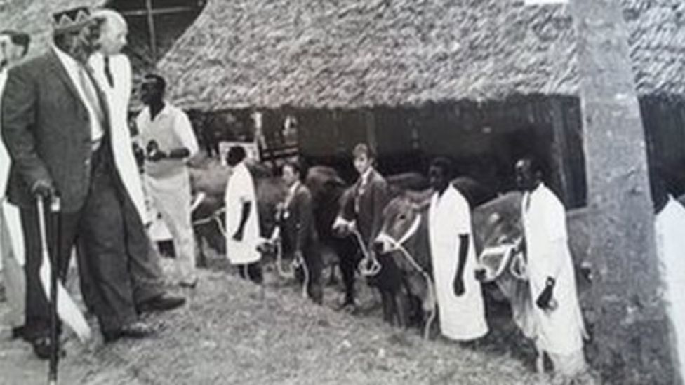 Kenya's Mau Mau revolt: Your experiences - BBC News
