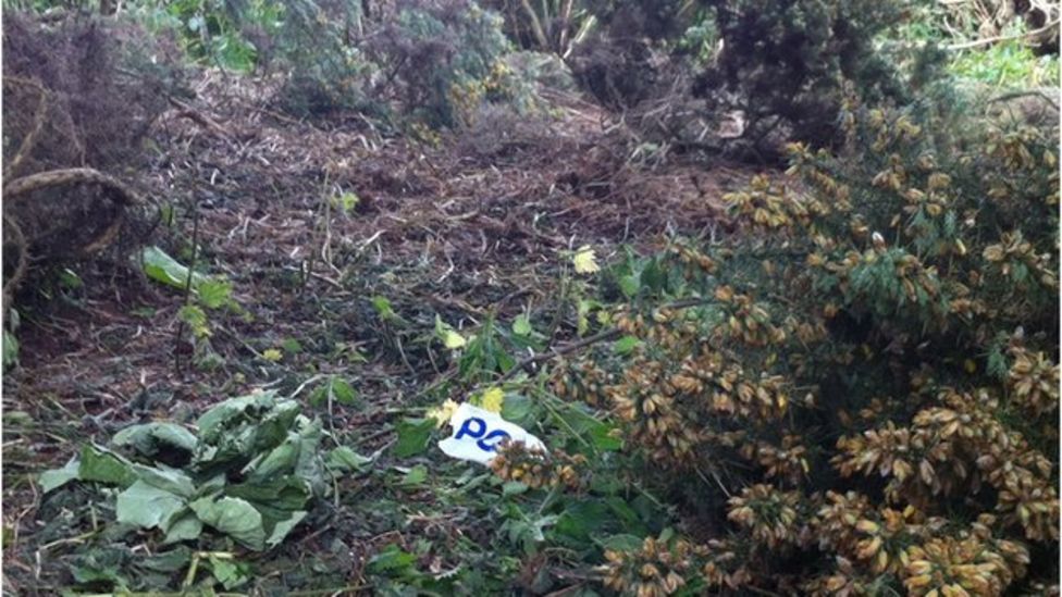 Corstorphine body: New details about woman released - BBC News