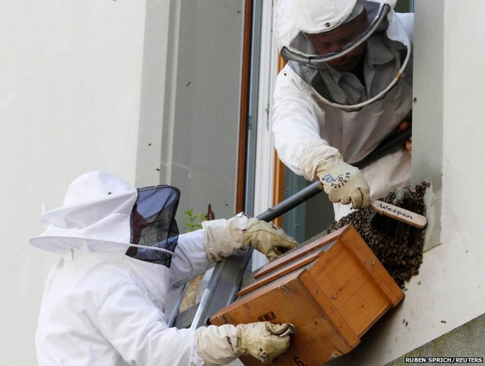 Day in pictures: 17 June 2013 - BBC News