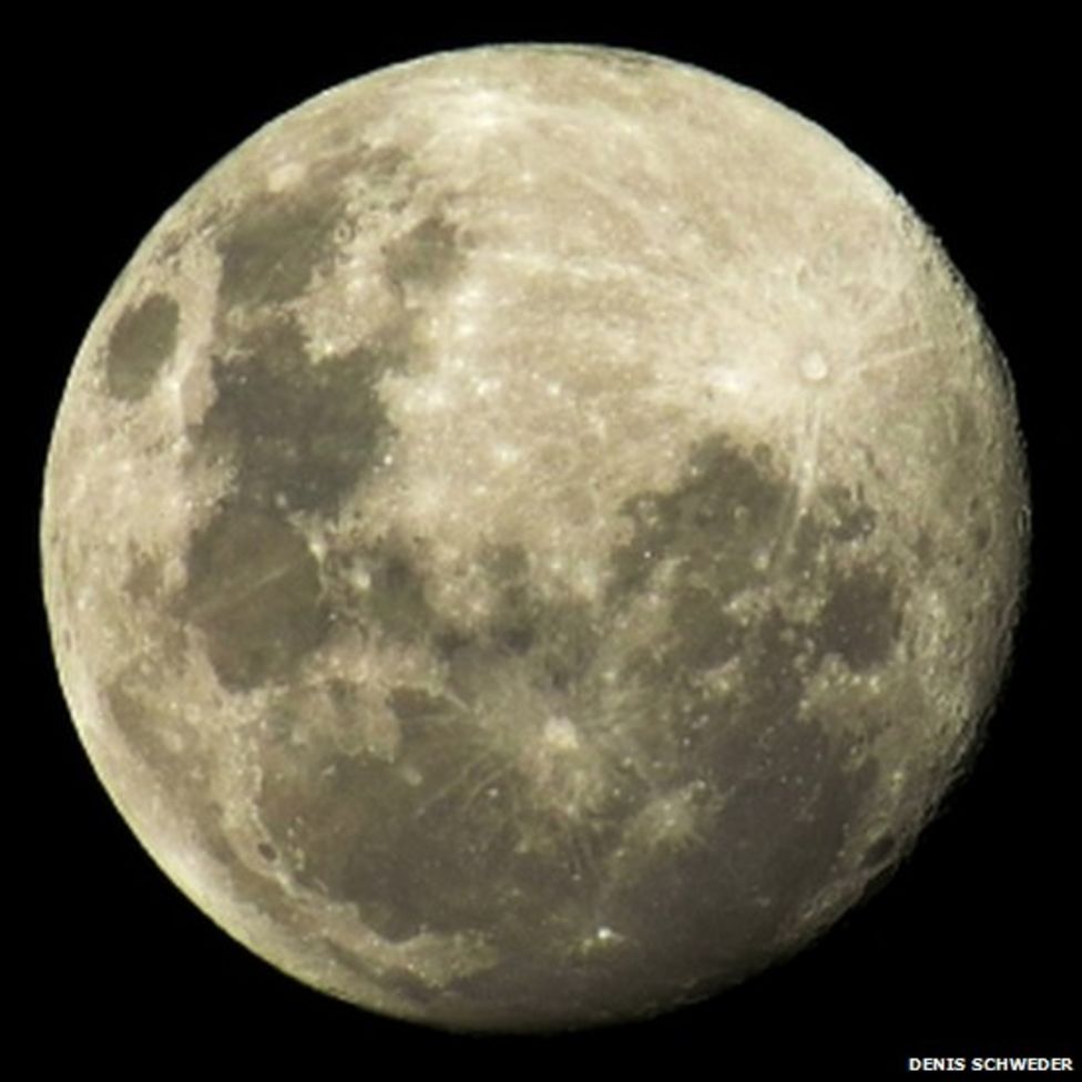 Your year in pictures - BBC News