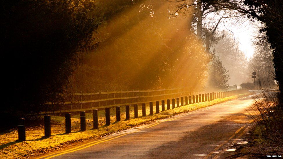 Your pictures: Sunshine - BBC News