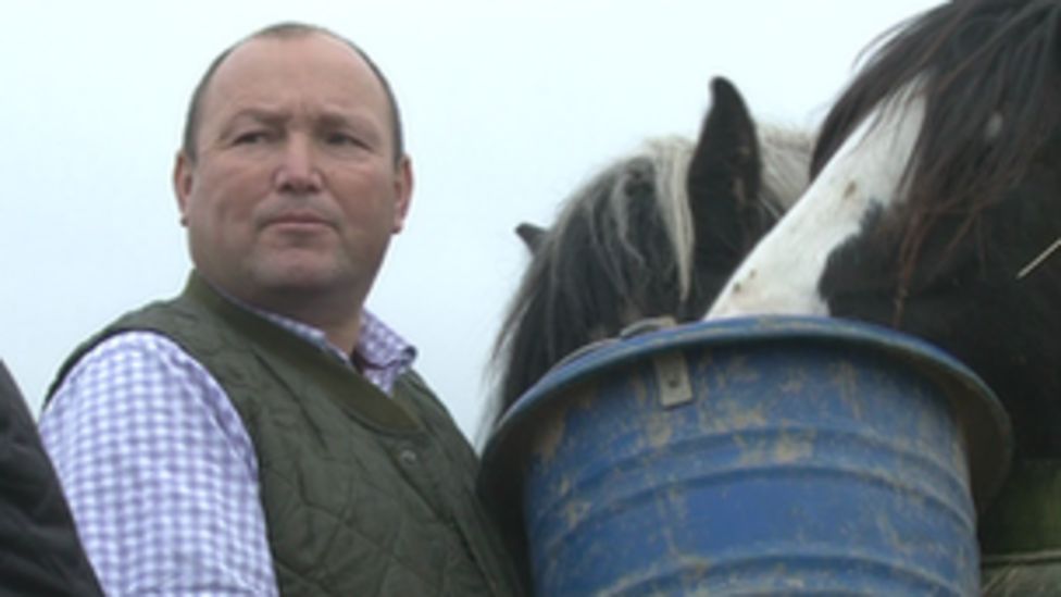 Horse trader Tom Price jailed for cruelty and Asbo breach - BBC News