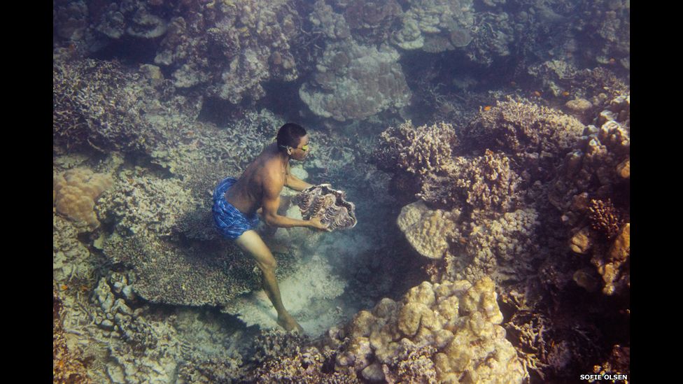 In pictures: The Moken - BBC News