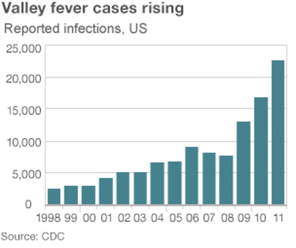 Valley fever: An incurable illness in the dust - BBC News