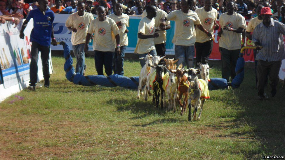 Your pictures: Racing - BBC News