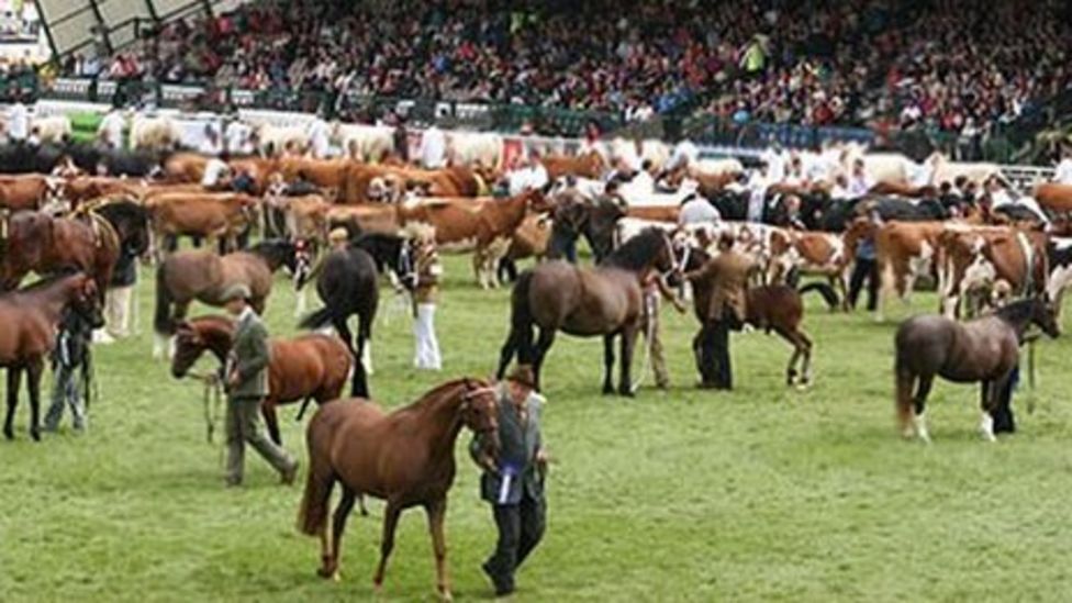 Royal Welsh Show: Showground marks 50th anniversary - BBC News