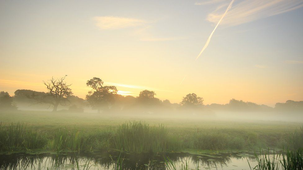 Your fantastic weather photos - BBC Weather