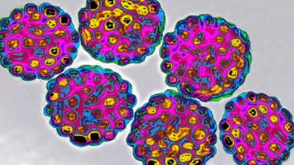 Doctor's call to 'equally protect' boys with HPV vaccine - BBC News