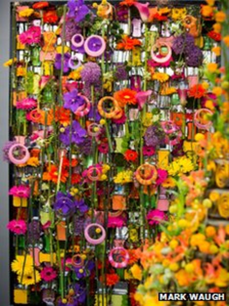 Neil Whittaker wins Florist of the Year for third time - BBC News