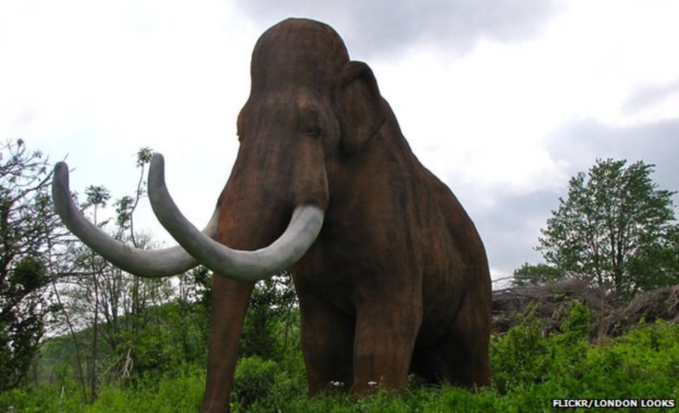 Mammoth genome sequence completed - BBC News