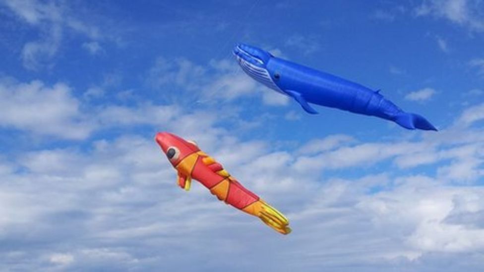 Let's go fly a kite up to the highest height - BBC News