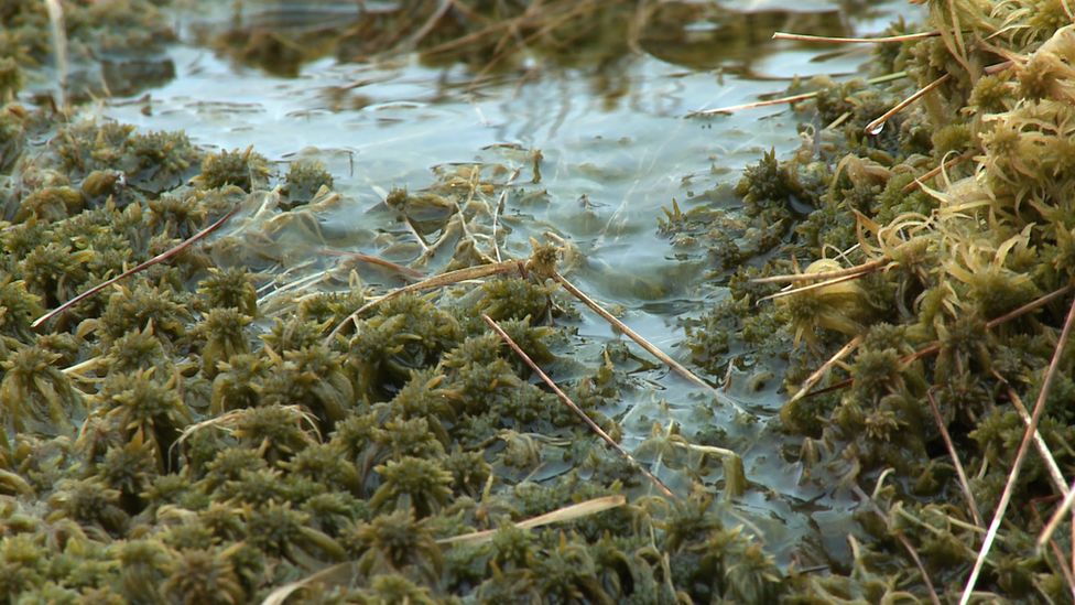 In pictures: River Sark takes arts festival role - BBC News