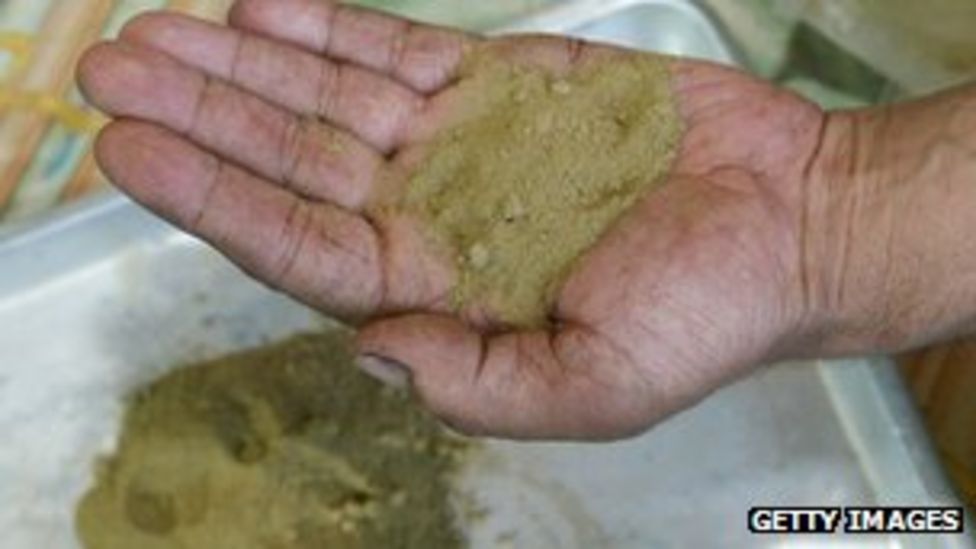 Sally Davies, England's chief medical officer, 'ate hash cookies' - BBC ...