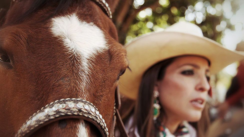 Cowboys at Brazil's Festa do Peao - BBC News