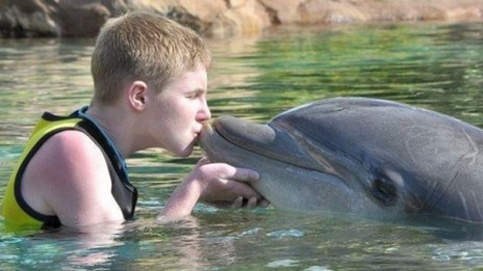 Cyber-bullying: Horror in the home - BBC News