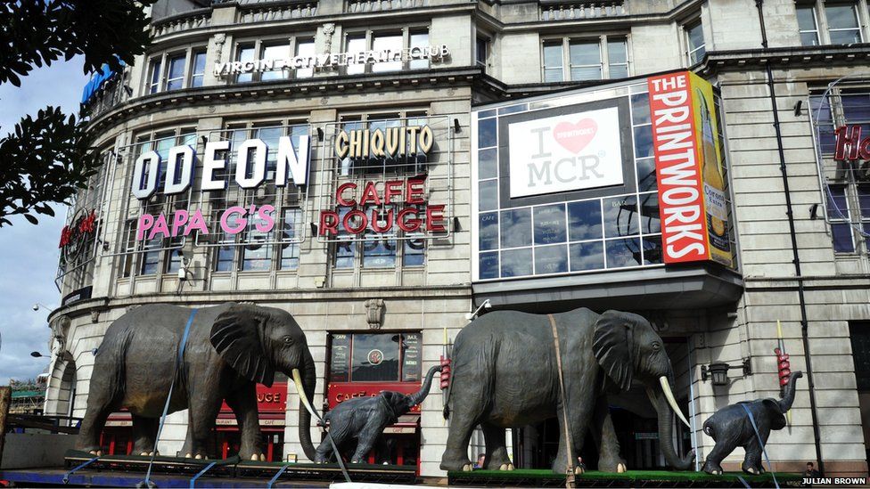 In Pictures: A jumbo tour to highlight plight of elephants - BBC News