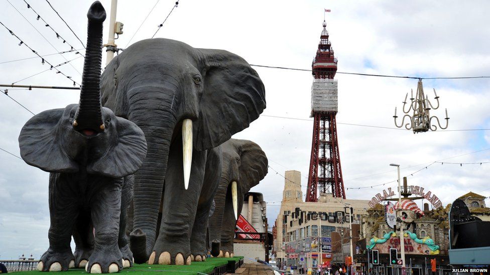 In Pictures: A jumbo tour to highlight plight of elephants - BBC News