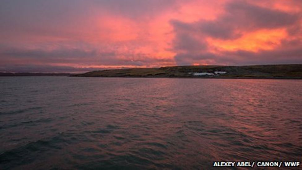 Russia's Arctic: Taimyr Peninsula - BBC News