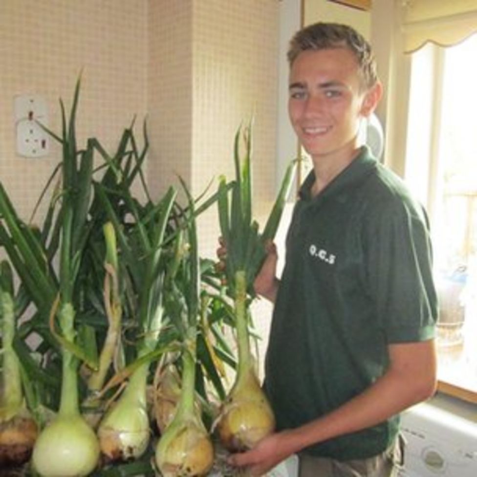 Allotments' growing appeal to younger generation - BBC News