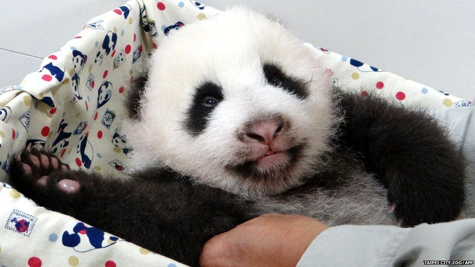 Day in pictures - 10 September - BBC Newsround