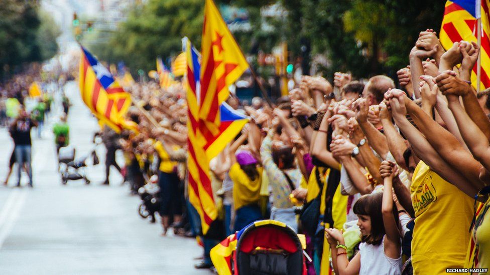 Your week in pictures - BBC News