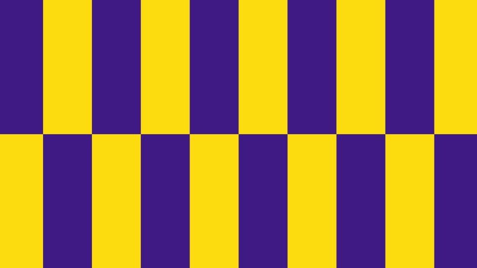 In pictures: County Durham flag designs unveiled - BBC News