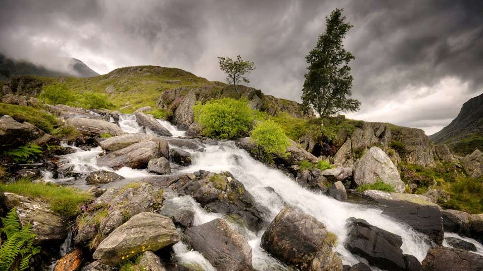 Your Pictures: Photos from Wales - BBC News