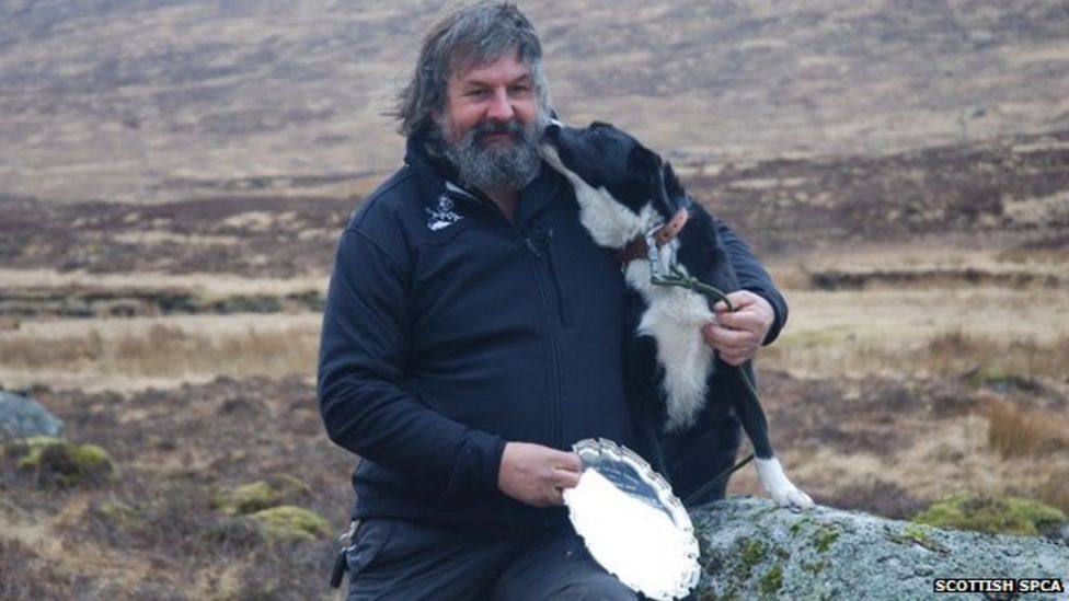 Unwanted Highland collie pup becomes award-winning rescue dog - BBC News