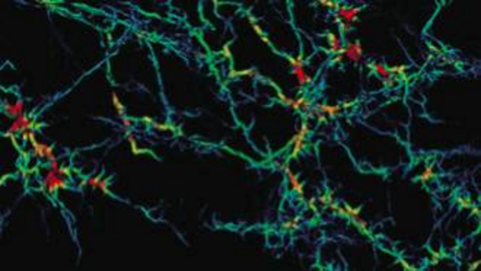 New ideas for how Earth core formed - BBC News