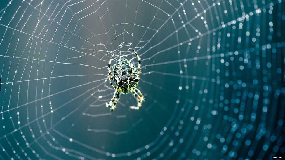 In pictures: Wild autumn in Wales - BBC News