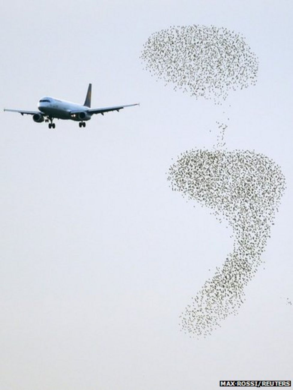 Day in pictures: 15 October 2013 - BBC News