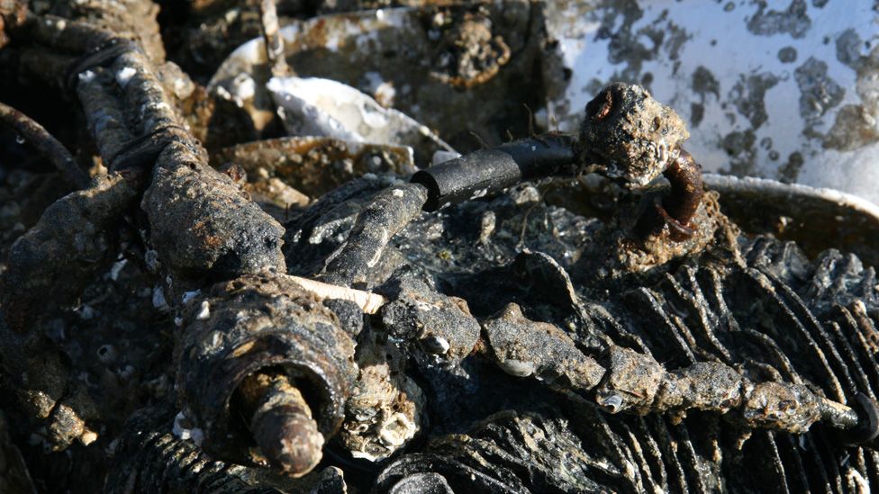 Dornier conservation project goes on show - BBC News