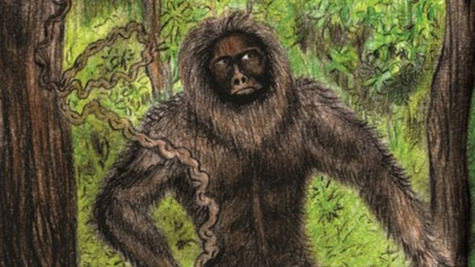 'Yeti footprints': Indian army mocked over claim - BBC News